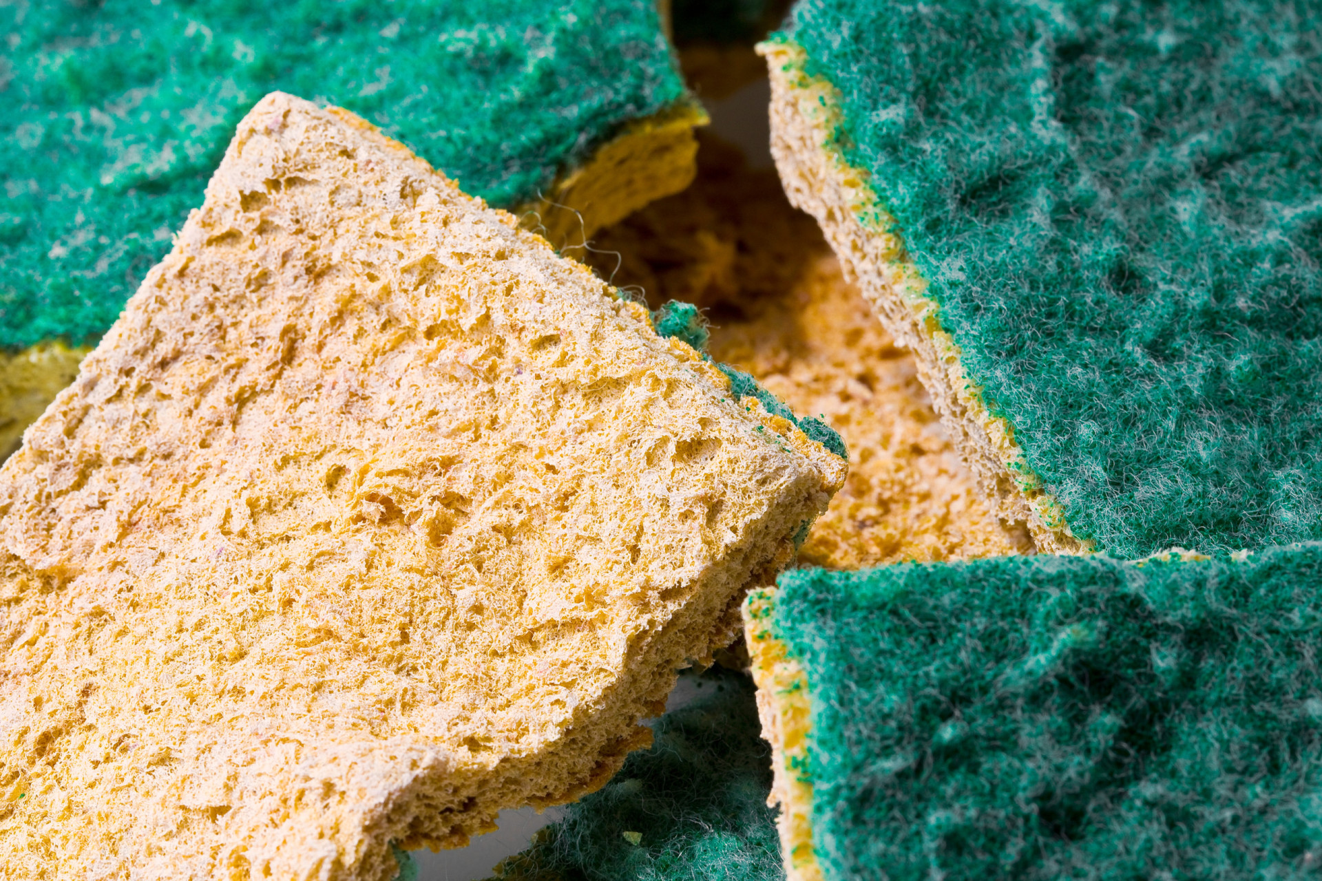 Kitchen items you should get rid of today