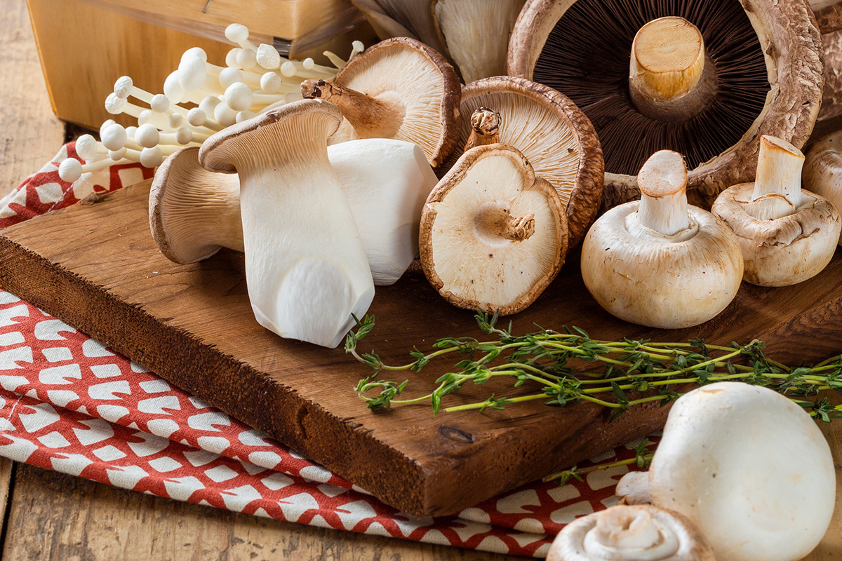 6 things you might not know about mushrooms