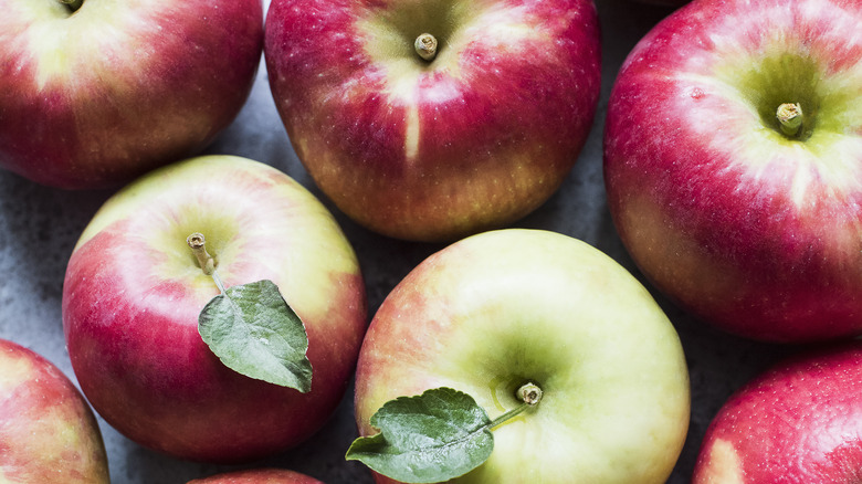 6 Absolute Best Apple Varieties For Juicing And 5 To Avoid