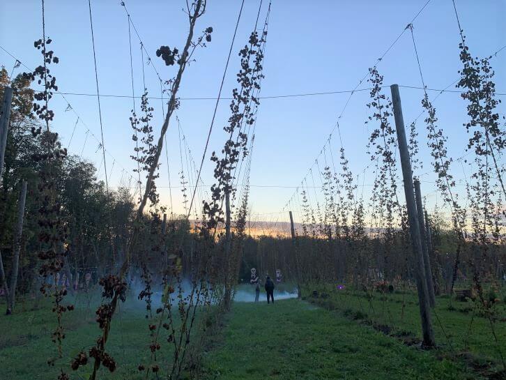 18 Fall Activities in Rochester, NY