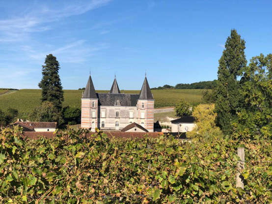 Escape to Southwest France: Hidden Gems and Must-See Spots in the Region Escape to Southwest France: Hidden Gems and Must-See Spots in the Region