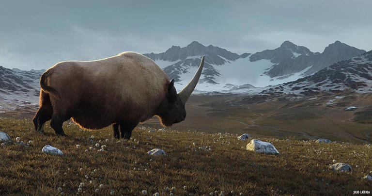 Endlings: poderão as histórias dos últimos animais da sua espécie ...