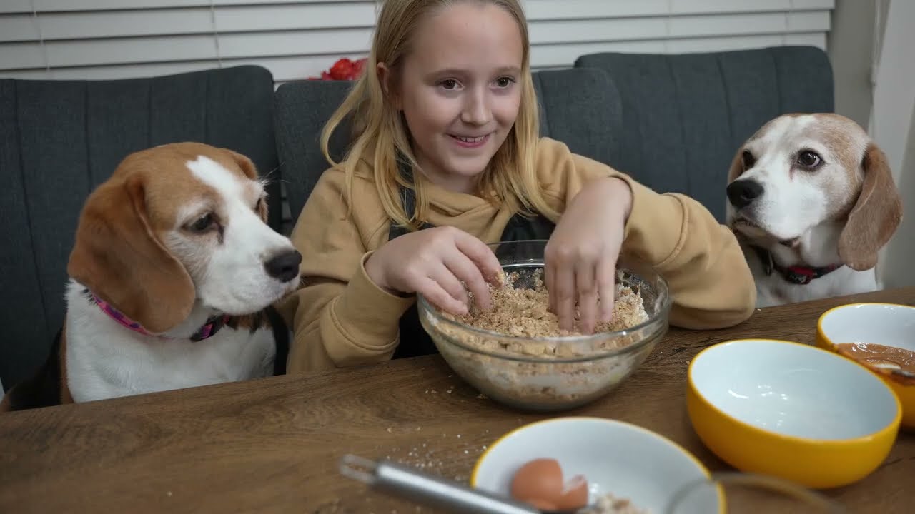 DIY Dog Treats Your Pup Will Love
