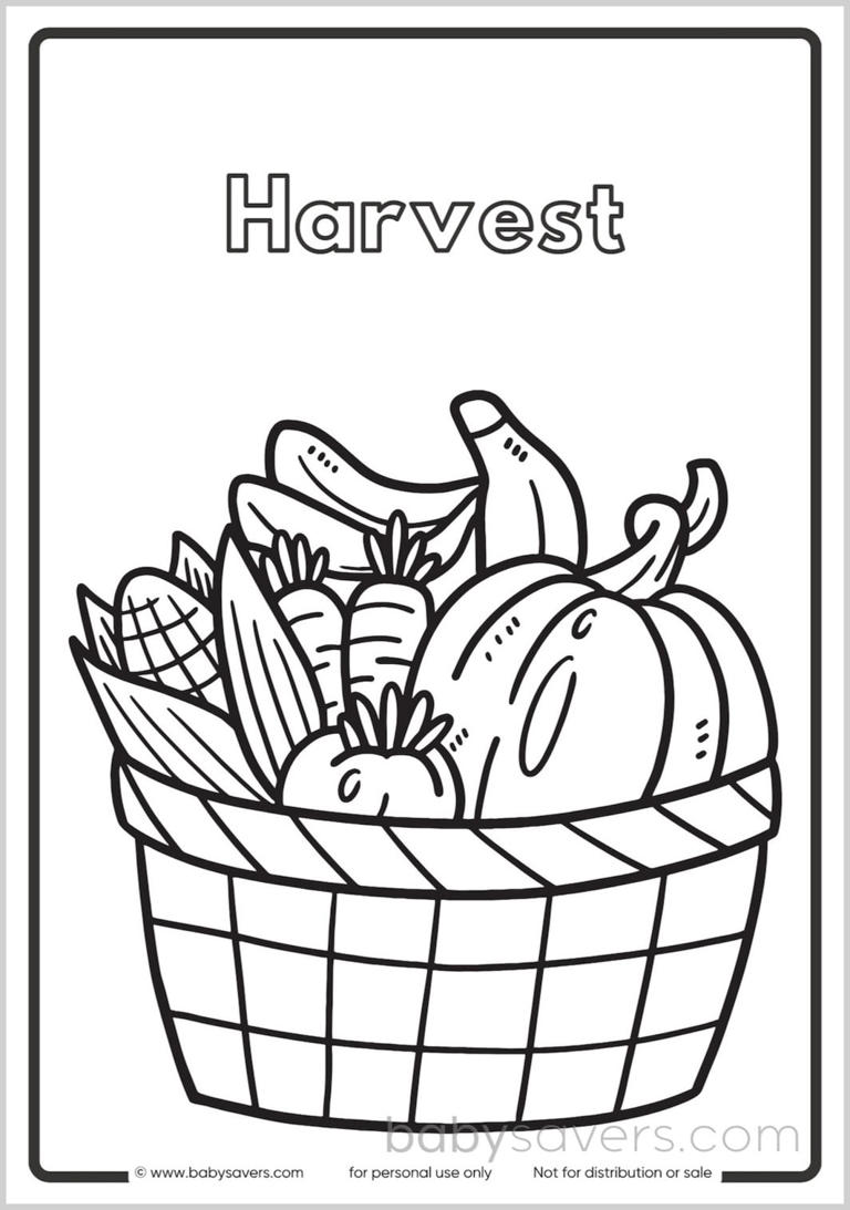 Fall Coloring Pages: Fun Free Printables for Kids