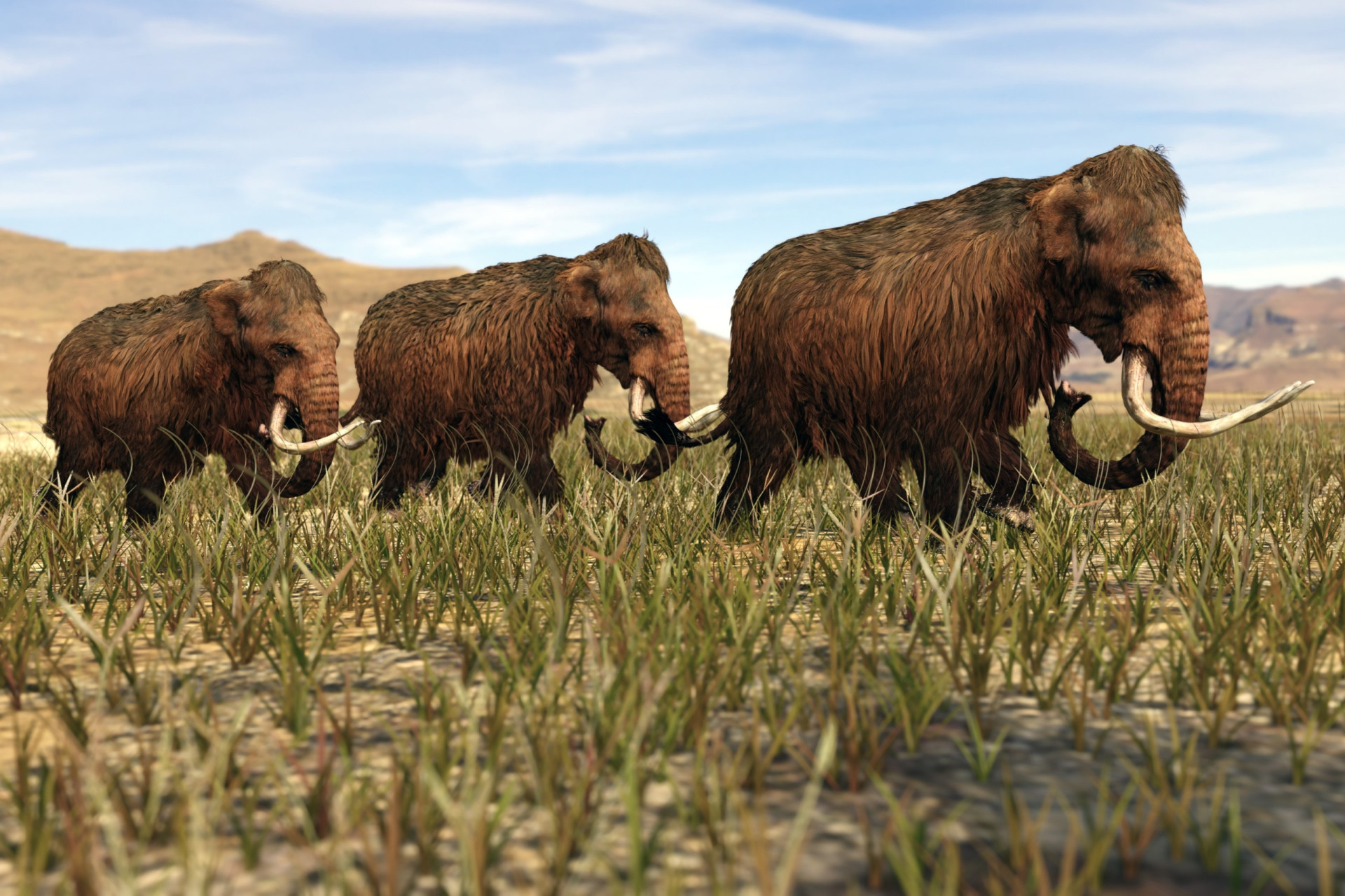 How scientists are bringing animals back from extinction