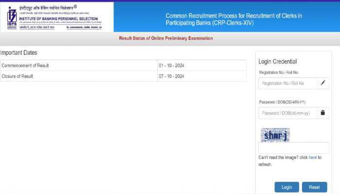IBPS Clerk Prelims Result 2024 Declared At ibps.in- Check Direct Link Here IBPS Clerk Prelims Result 2024 Declared At ibps.in- Check Direct Link Here