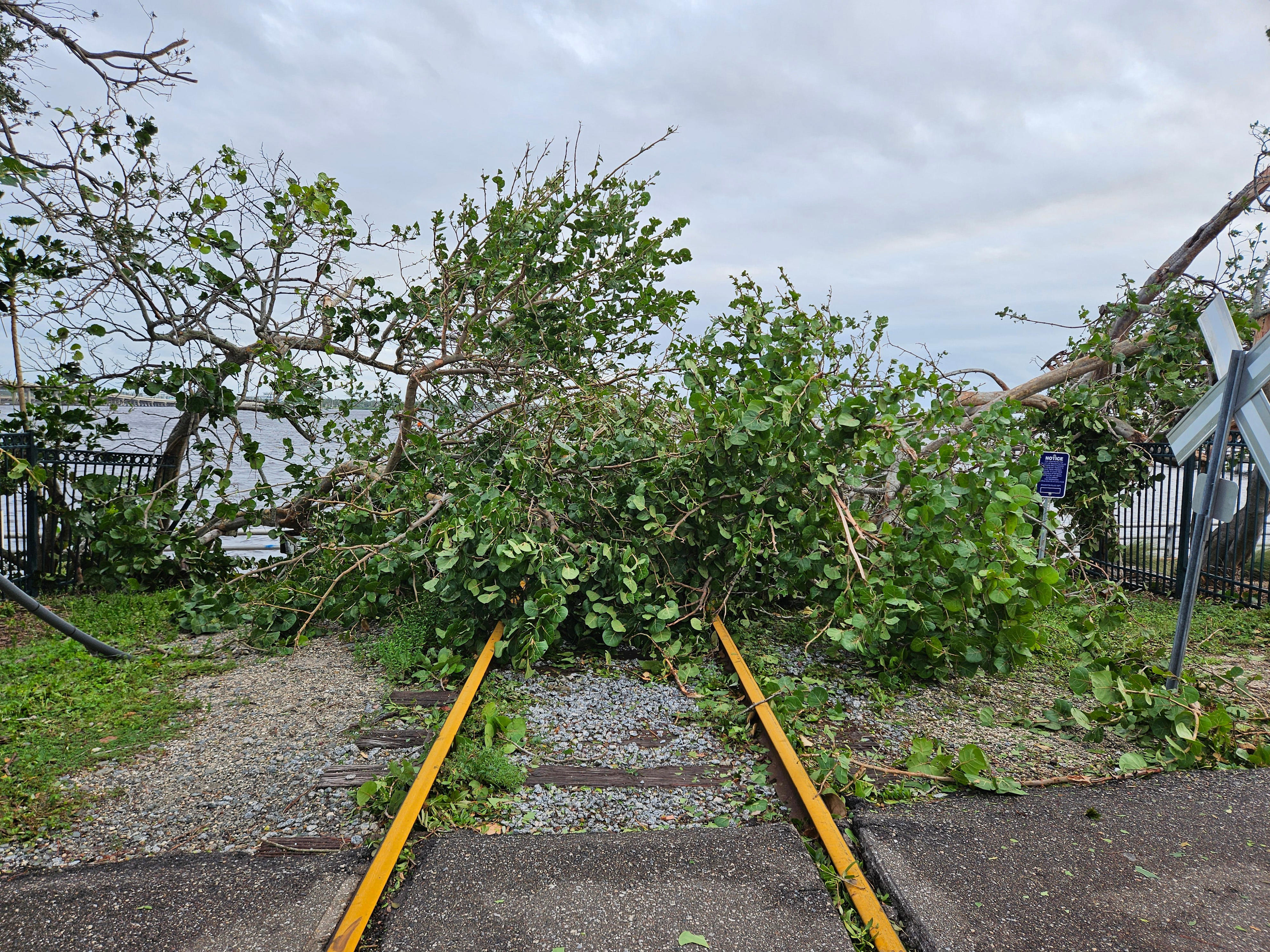 Manatee Central Library remains closed after Hurricane Milton damage