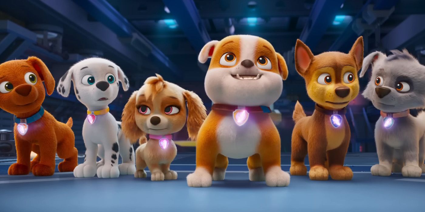 Every PAW Patrol Character & Their Dog Breed, Explained