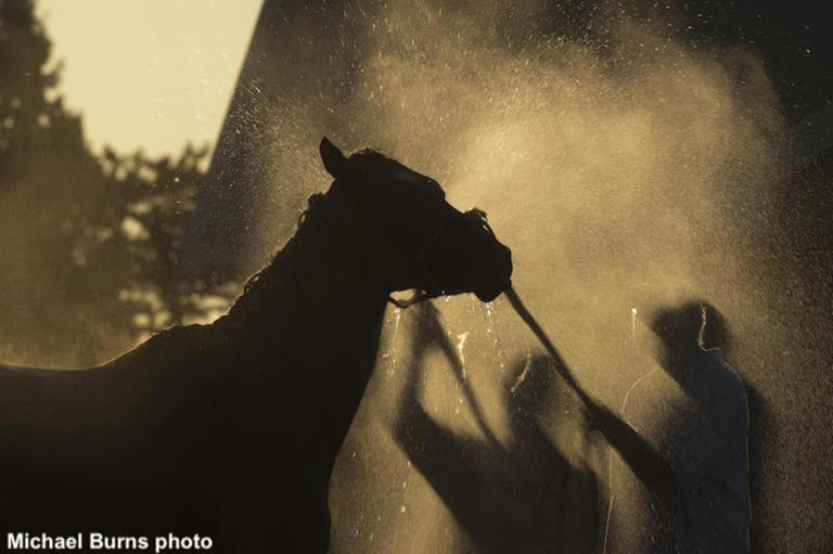 OwnerView webinar focuses on organizations helping individuals in need