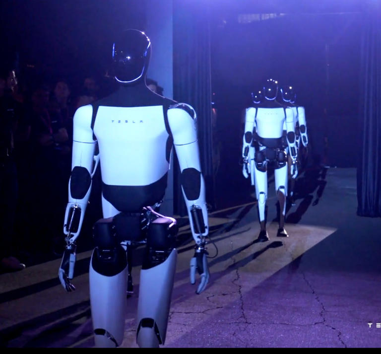 Elon Musk said this could be Tesla's 'most important year.' A lower ...