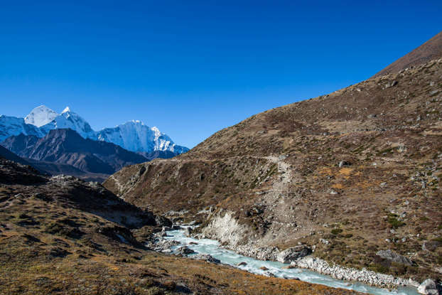 Genetic mutation helps Tibetans thrive at high altitudes, study shows Genetic mutation helps Tibetans thrive at high altitudes, study shows