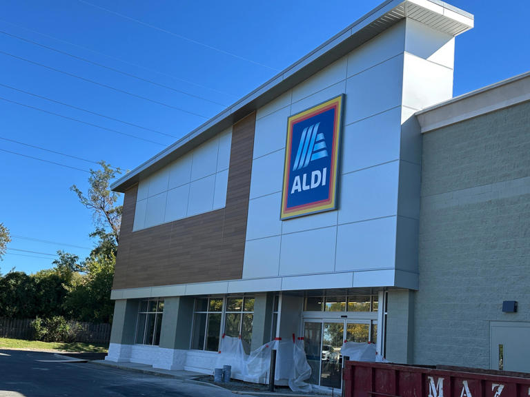 Aldi is selling $5 ‘frozen ice cubes.’ Are they worth it?