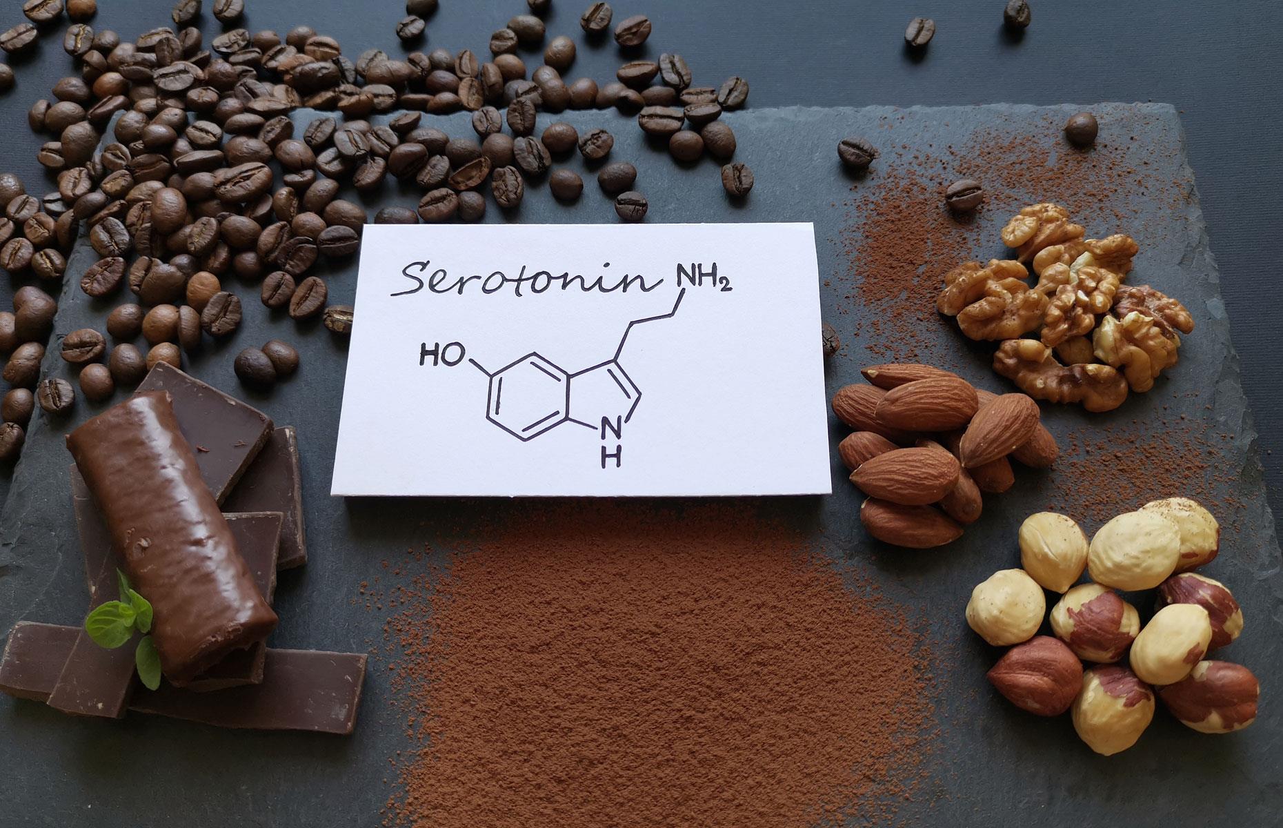 The story behind chocolate's multibillion-dollar industry