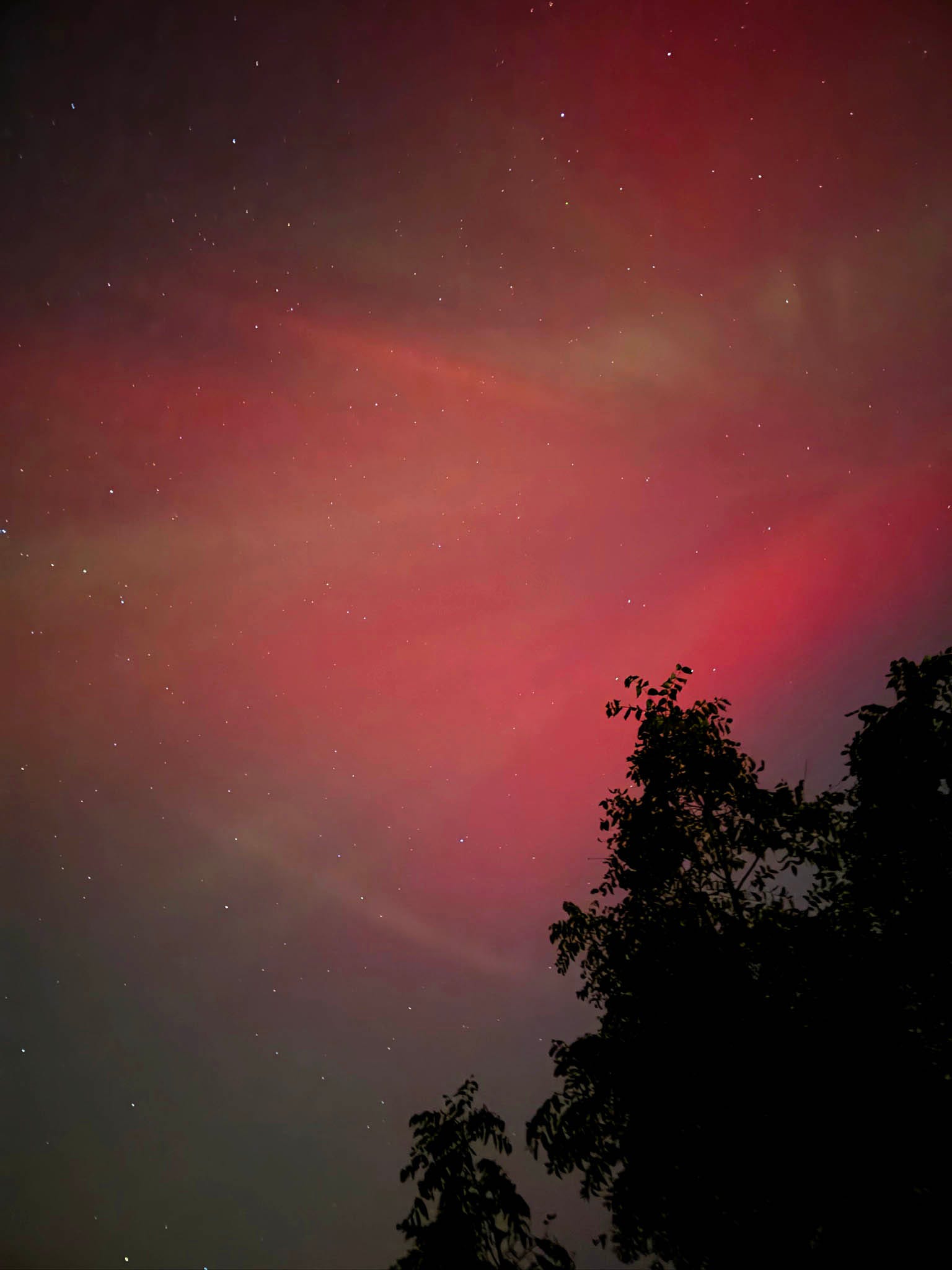 You might be able to see the northern lights in Wisconsin on Black Friday