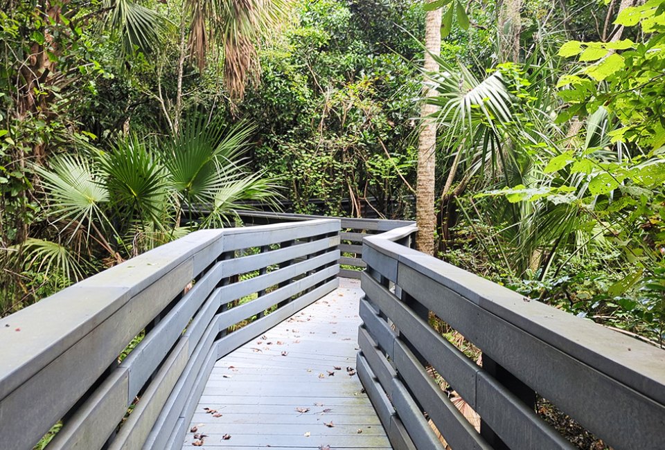 Best Boardwalk Trails in Orlando and Central Florida for Families