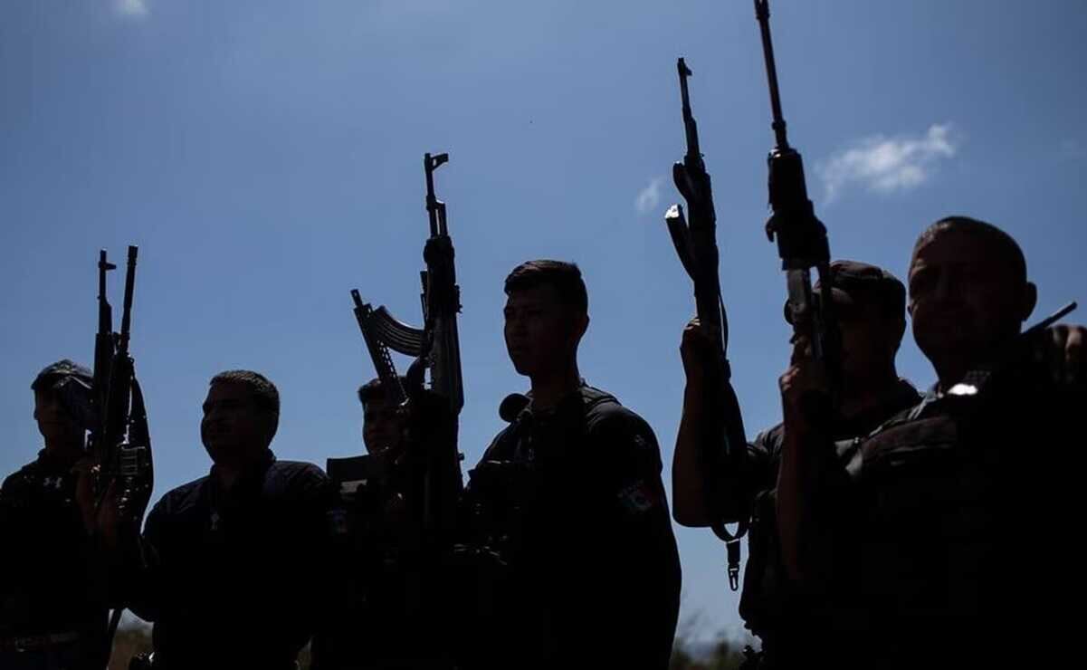 Analizan ley para proteger a “pollitos de colores” usados por el narco ...