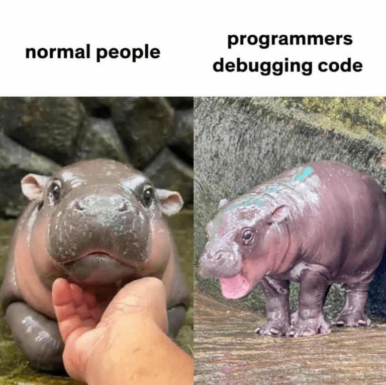 50 Funny Programming Memes Memes Coders Can Laugh At Between Debugging ...