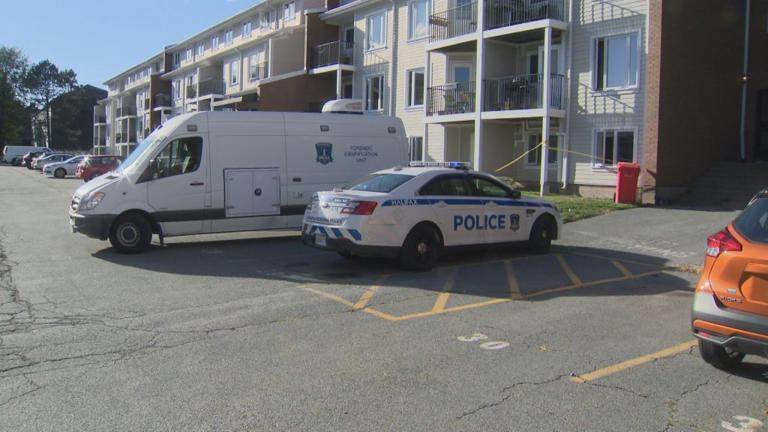 Nova Scotia man pleads guilty to killing mother after she told him to ...