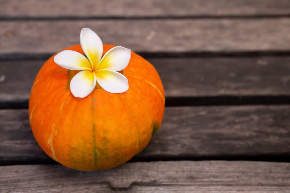 Why Hawaii in October is Ideal for Family Fun and Relaxation