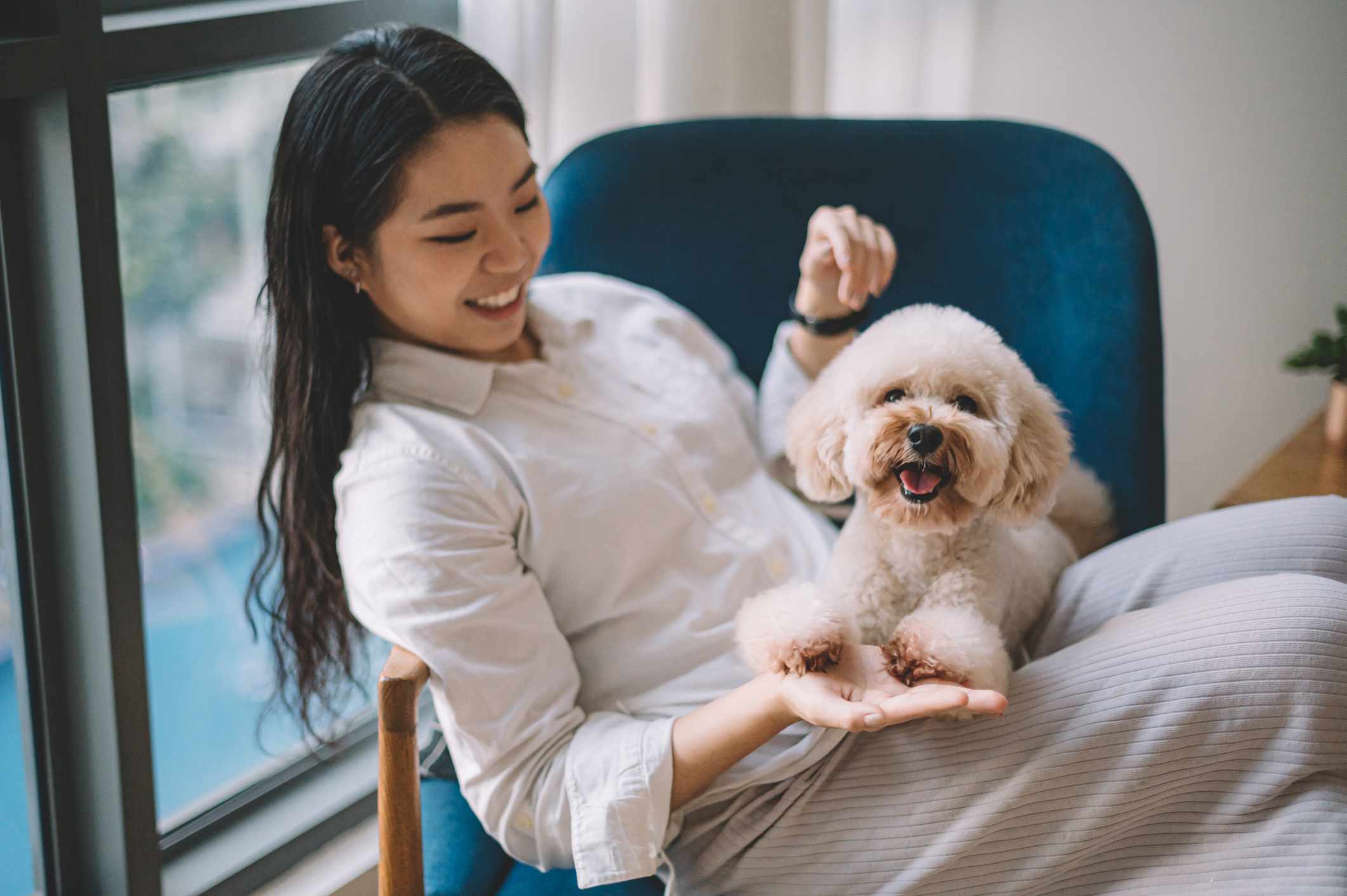 Living With Dogs When You Have Asthma