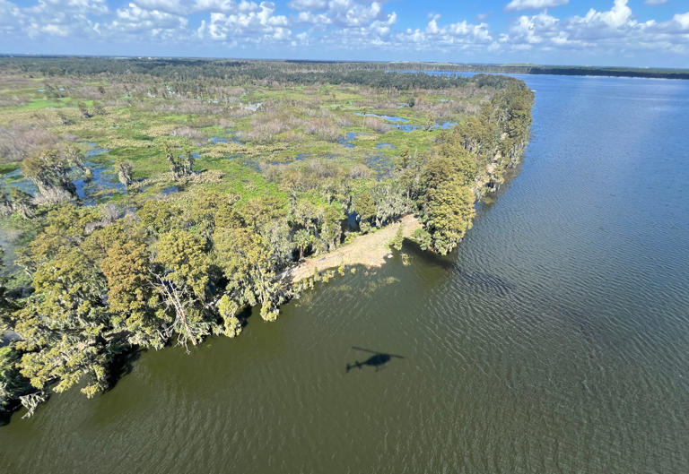 Repairs to Alligator Alley trail at Circle B in Lakeland could take months