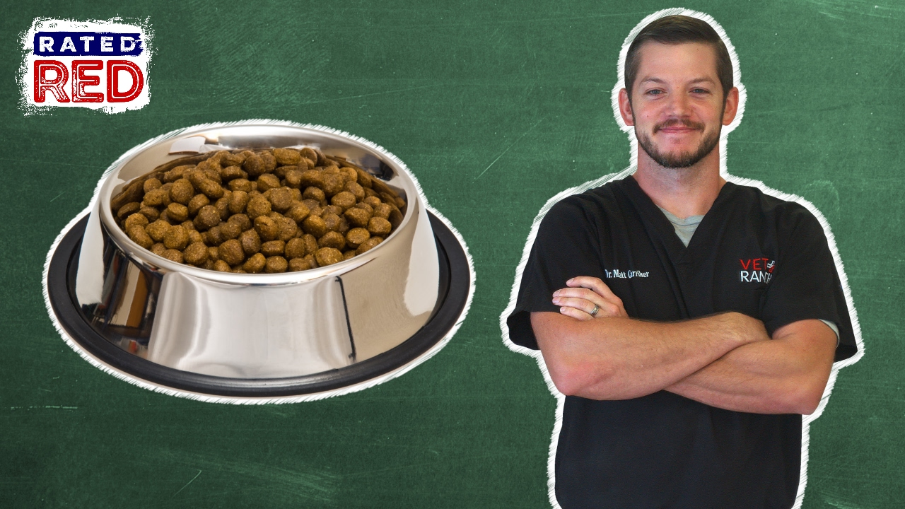 Pet 101: Kibble vs. Raw Food—Which Diet Is Best?