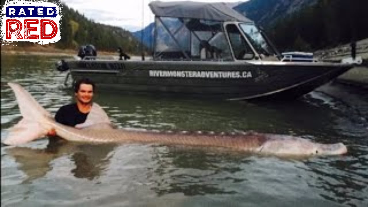 Teen Angler Catches Rare and Famous Pig-Nosed Fish