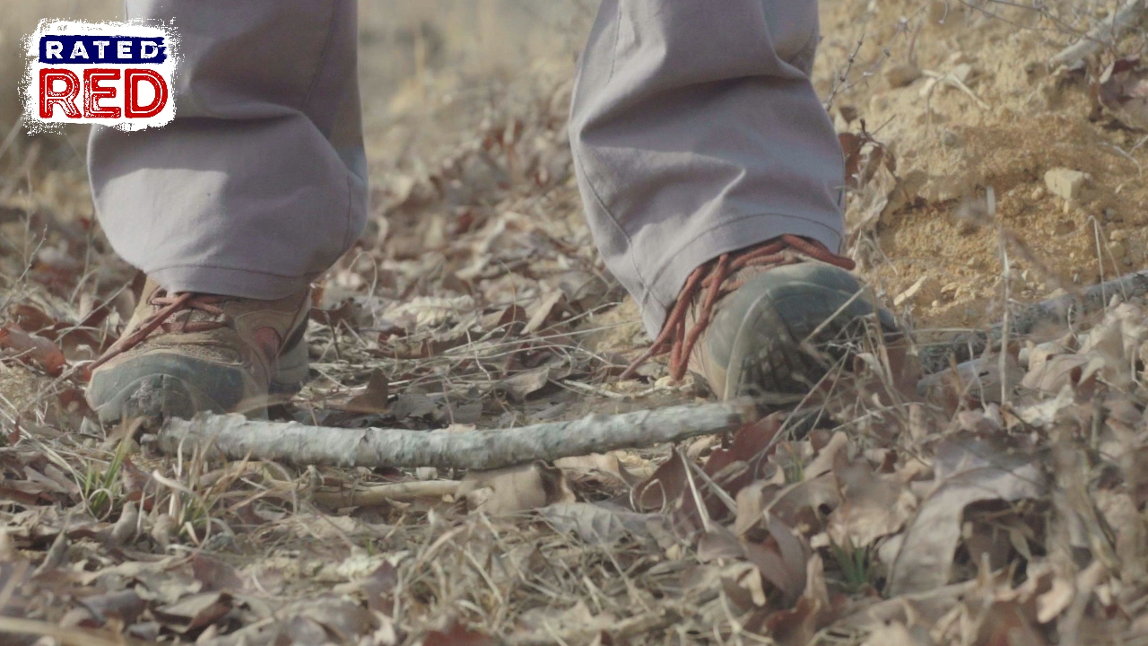 3 Tips for Staying Stealthy in the Woods