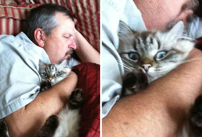 47 People Who Said They Didn’t Want The Darn Cats