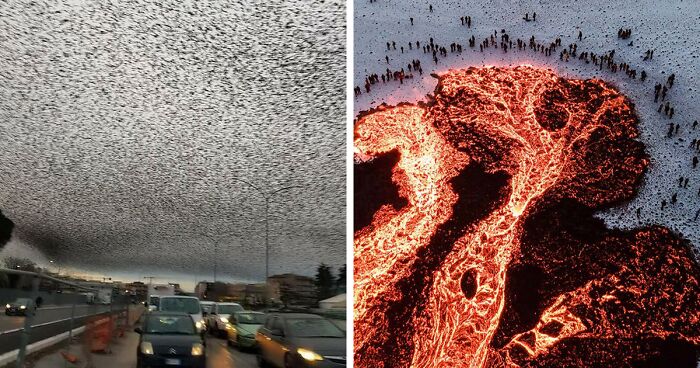 This Twitter Page Shares Interesting Facts About The World, And Here ...