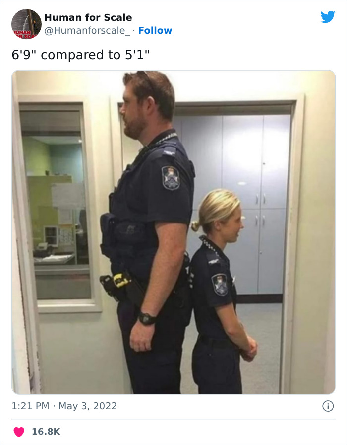 40 Photos With Humans For Scale To Show Just How Big Stuff Really Is ...