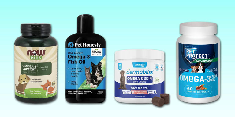 The best fish oil for dogs of 2024, with advice from veterinarians