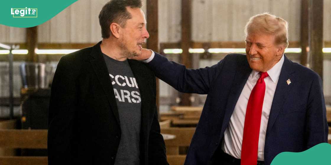BREAKING: Trump threatens to deport Elon Musk back to South Africa amid ...