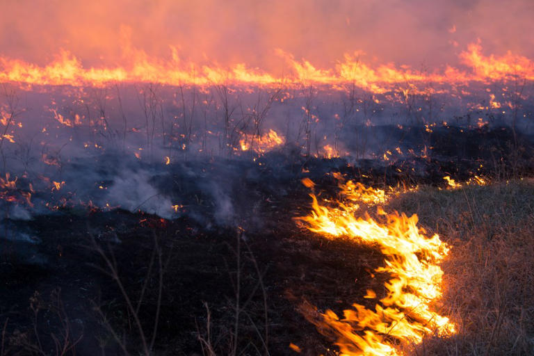 650 acres burned in Riley County wildfire