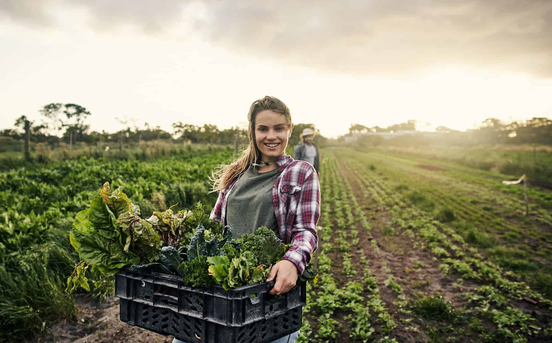 One Canadian dividend stock that’s down 10% — and worth holding for the ...