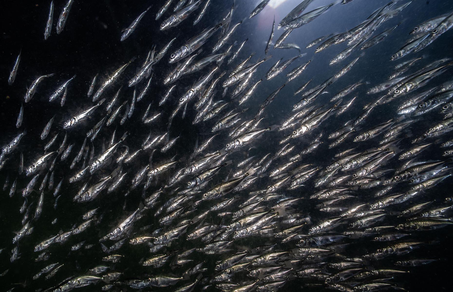 How many of these iconic cartoons do you remember?