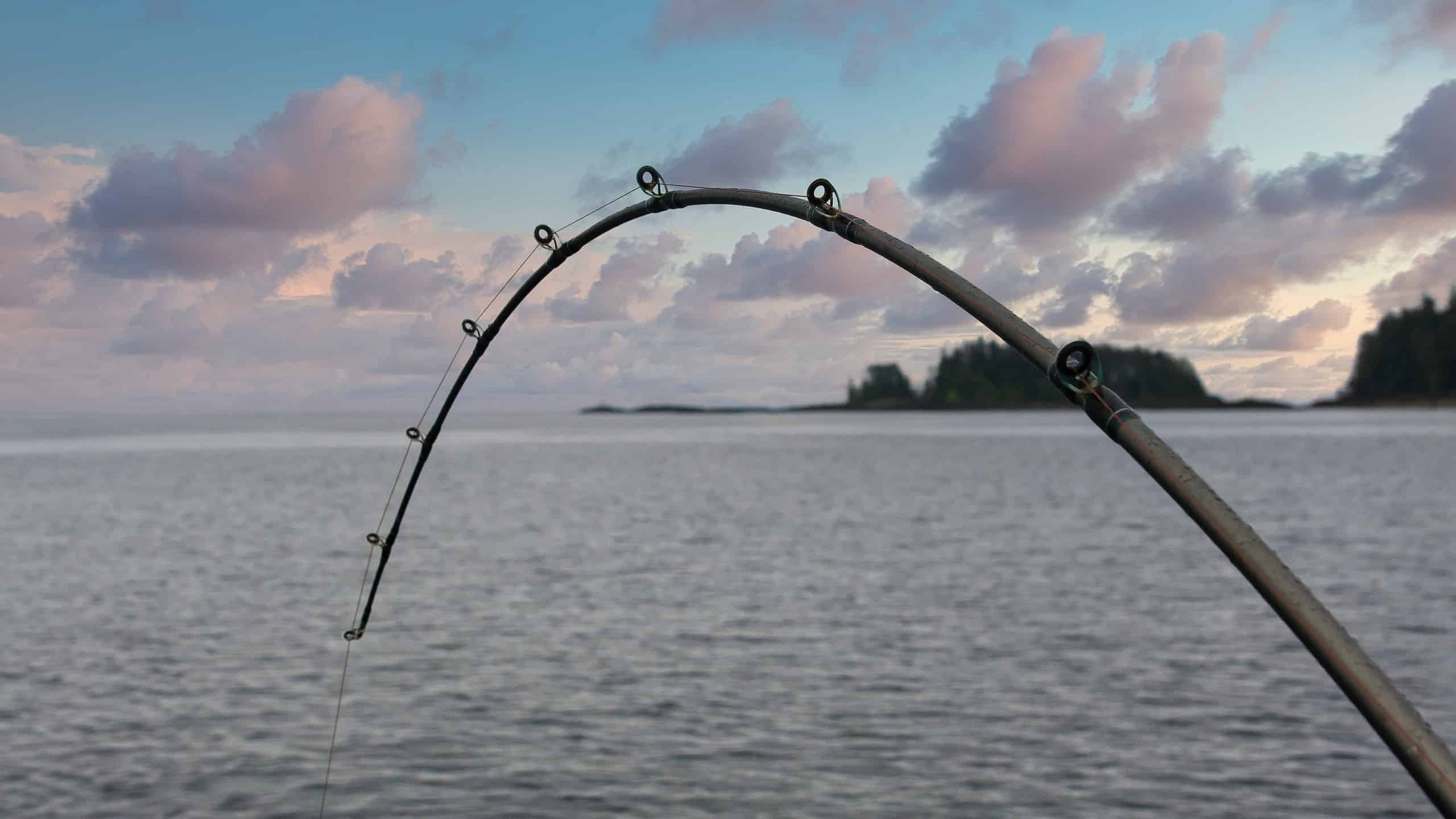 Top-Rated U.S. Salmon Fishing Locations