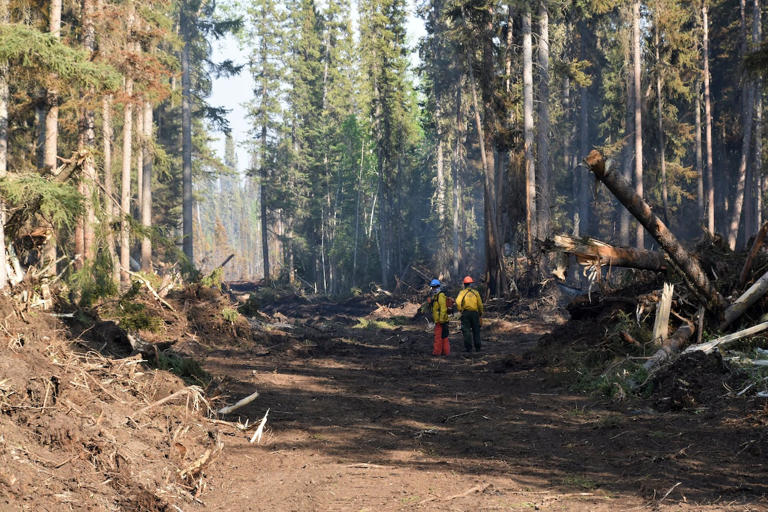 Wildfire complex? Blacklining? Here's what N.W.T. Fire lingo actually means