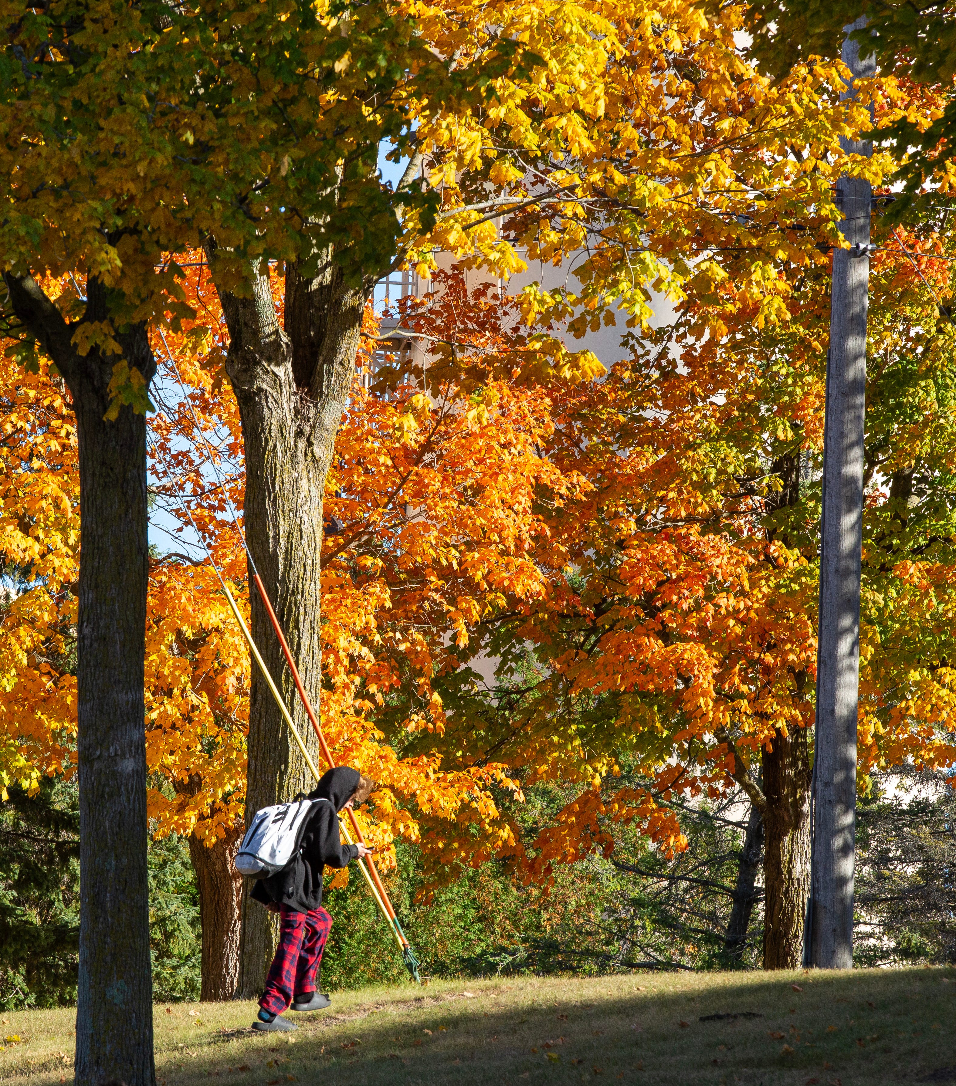Check out our list of the 7 best spots for fall colors around Manitowoc ...