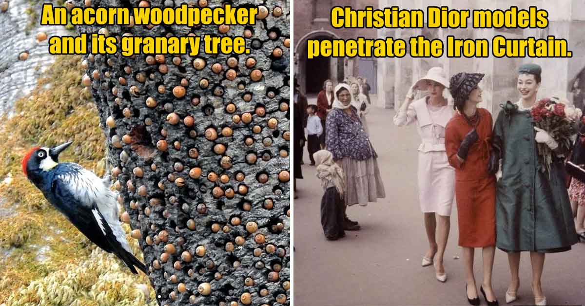 Our Special Planet: 24 Interesting Photos From Our Fascinating World