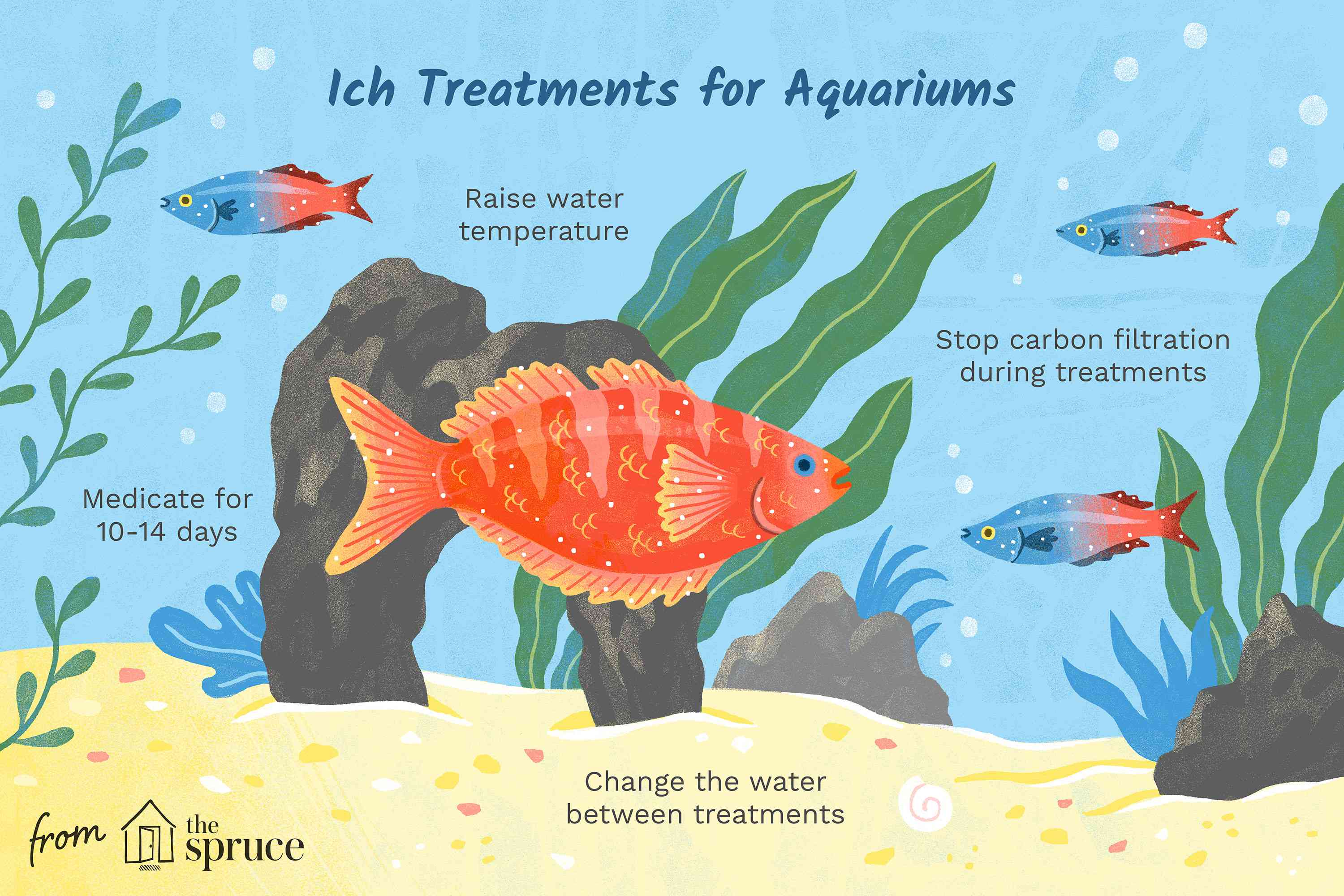 How to Cure Ick on Freshwater Fish: Effective Treatment Solutions