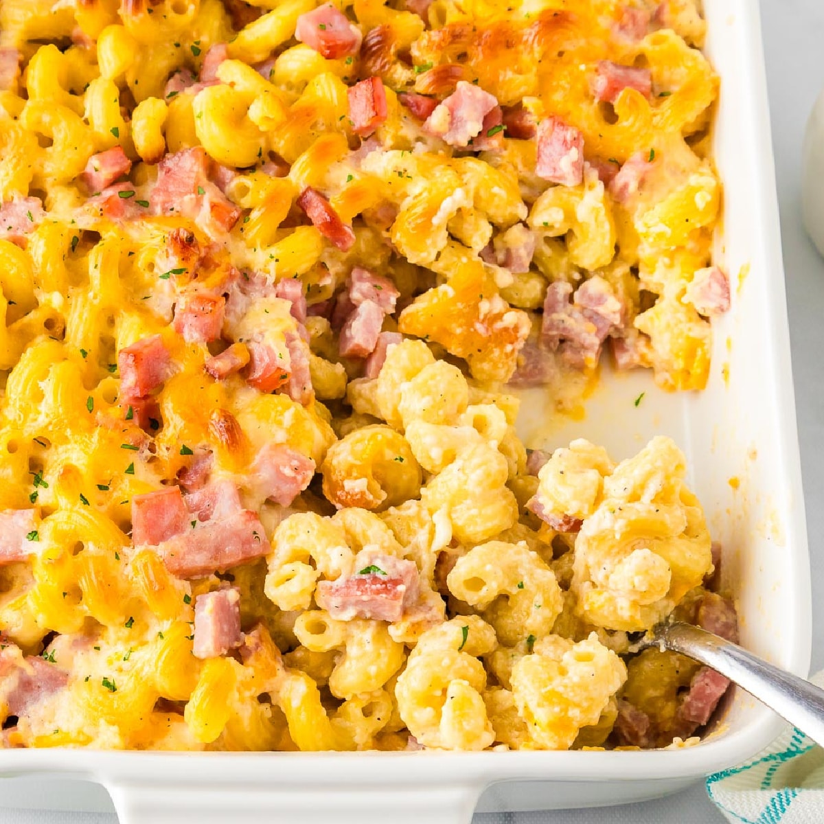 Easy corkscrew mac and cheese (cavatappi pasta with ham)