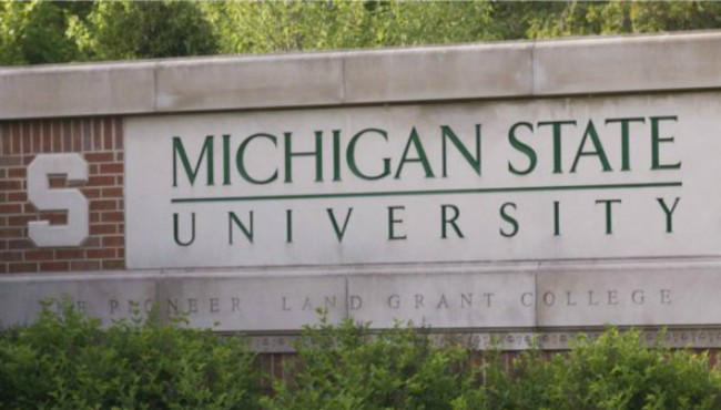 MSU online graduate programs earn high praise