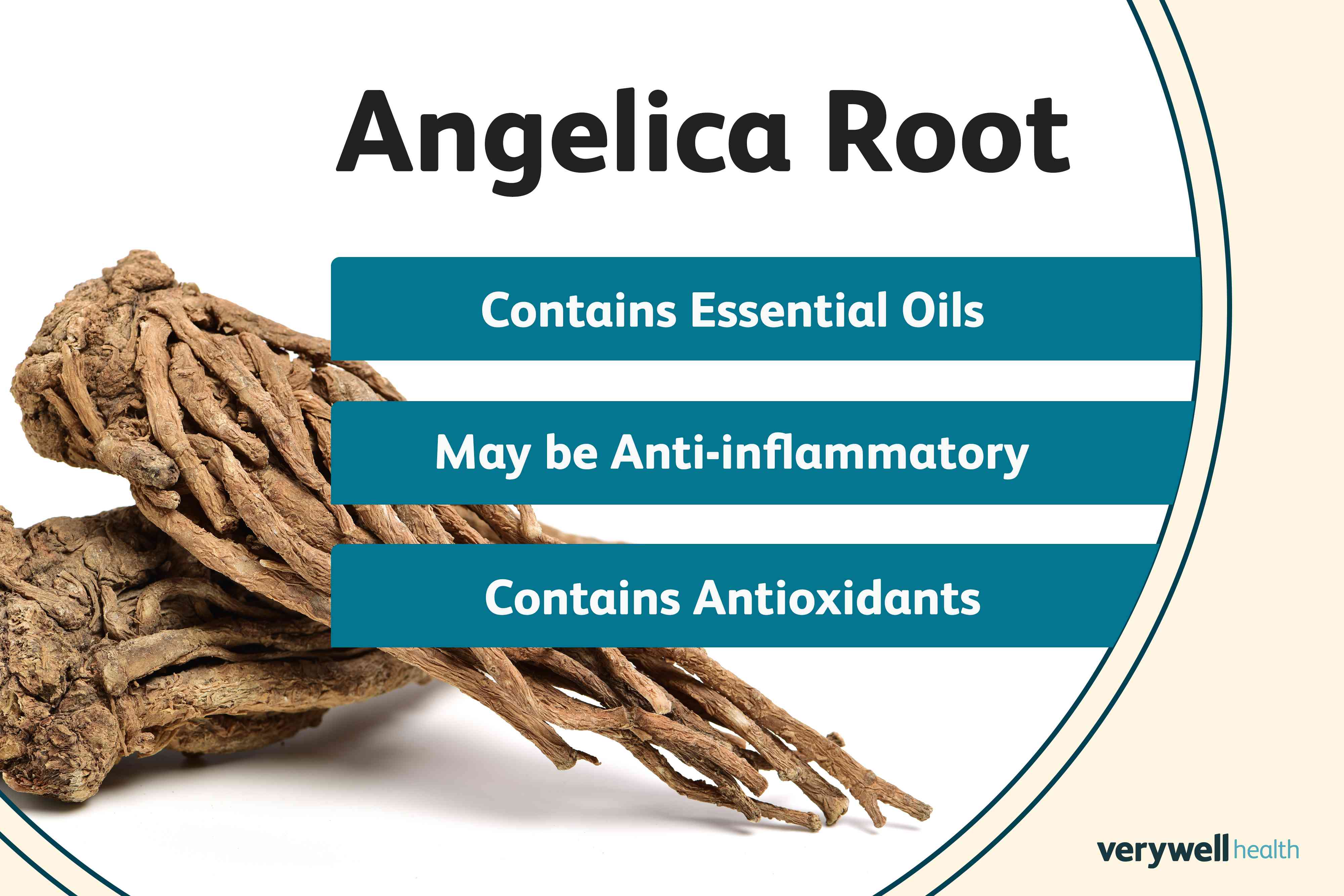 What Is Angelica Root Good For? A Pharmacist Explains the Evidence