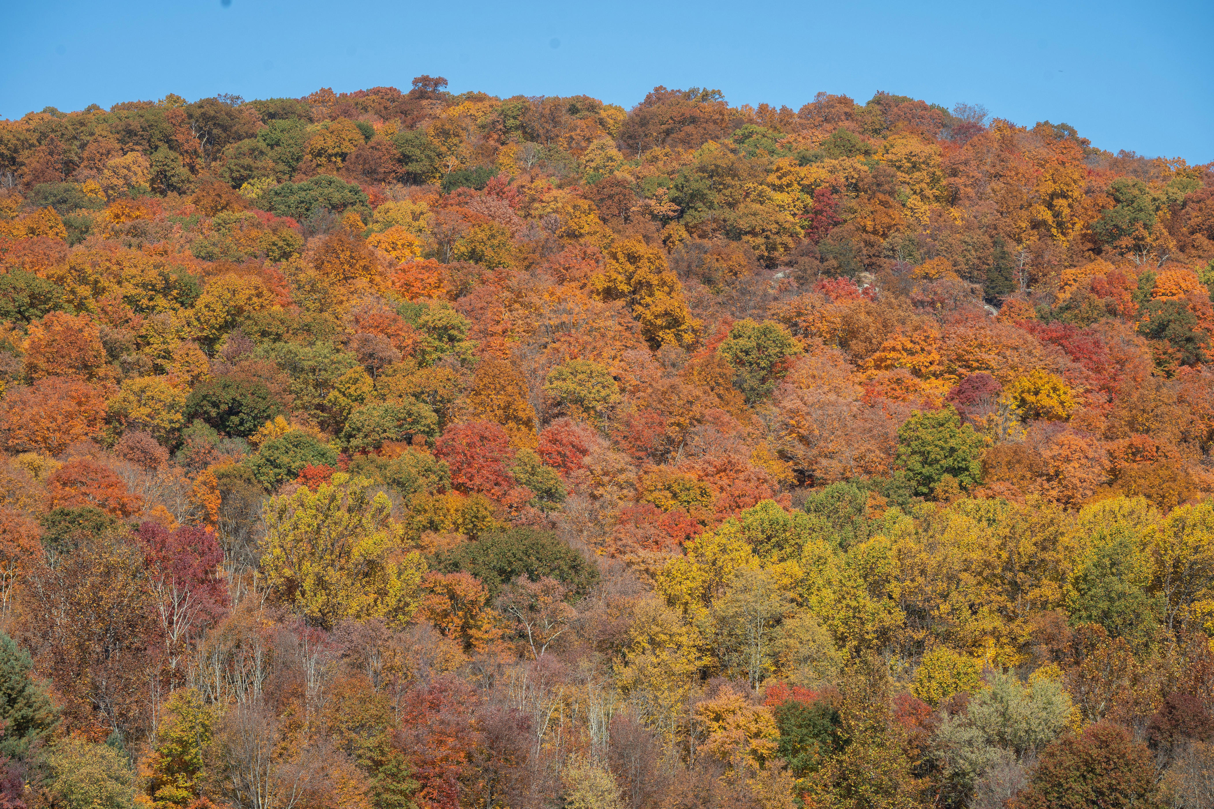 Looking for North Jersey's best fall foliage? Try these 7 scenic drives ...