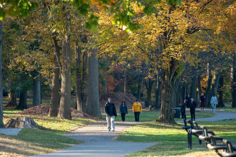 When will colorful fall foliage peak in North Jersey? Check out this ...