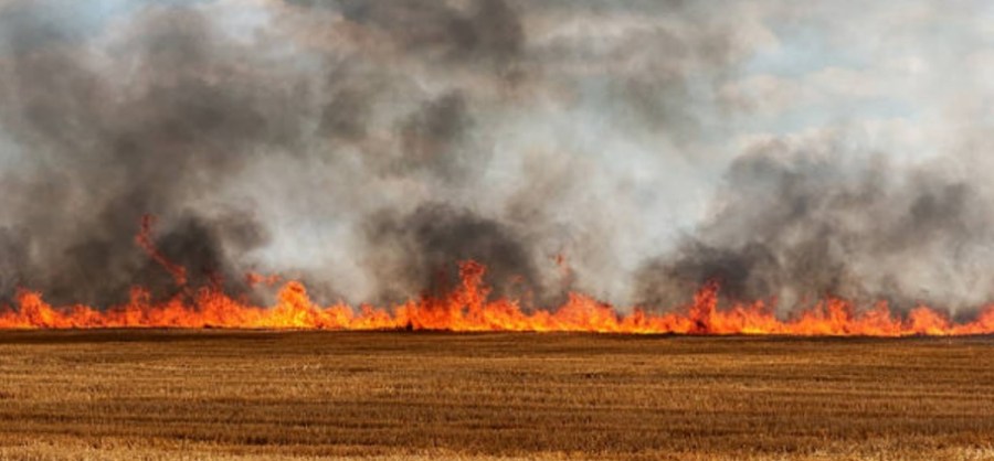 Iroquois Co. issues burn ban amid dry conditions, windy weather
