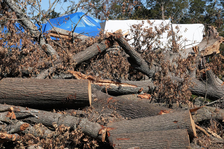 Final passes underway in Augusta to remove debris caused by Hurricane ...