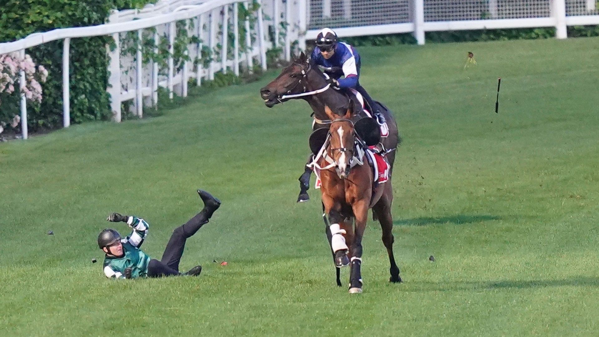 On est passé tout près de la catastrophe : le cheval devient fou et ...