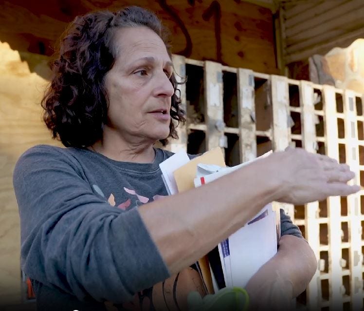 Hot Springs' Gentry announces she won't be running for reelection in ...